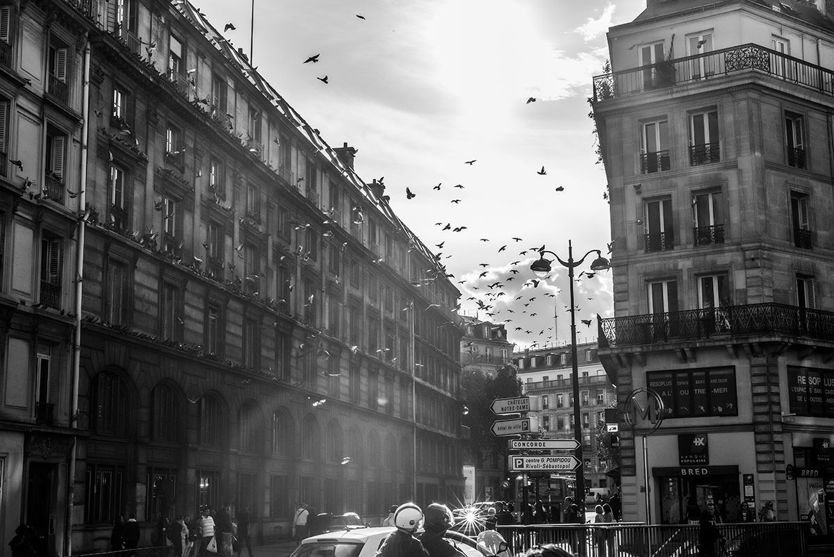 Mathieu Bitton “Paris Blues – A Decade of Moments and Reflections ...